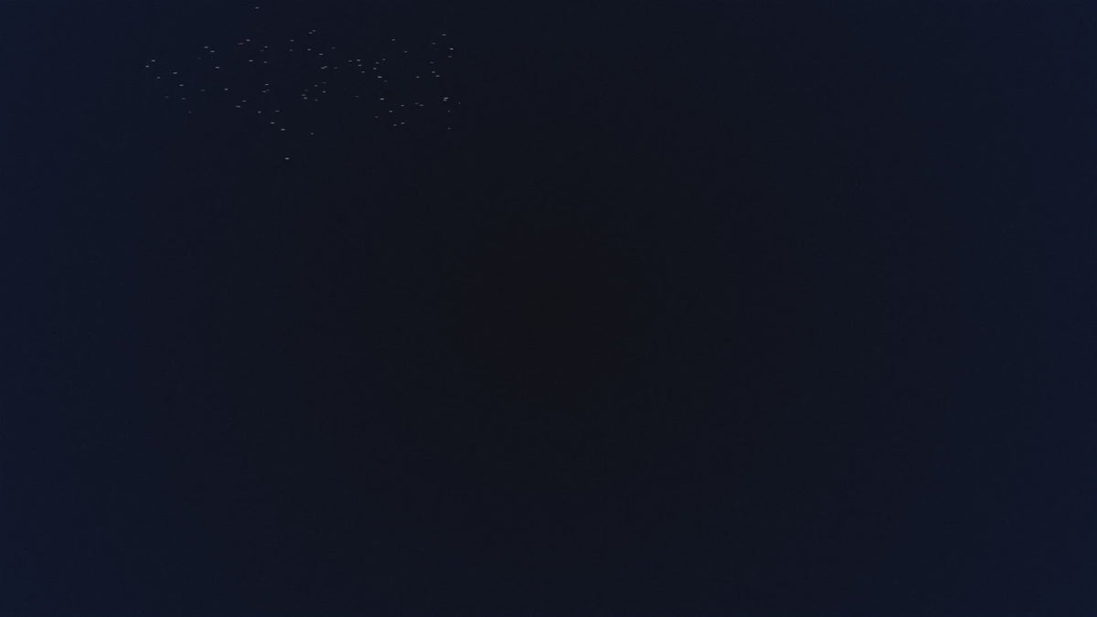 The Dancing Trolls – Cindy's Fireworks