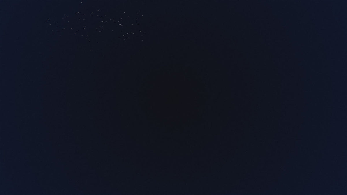 Hoot Hoot Hooray! – Cindy's Fireworks