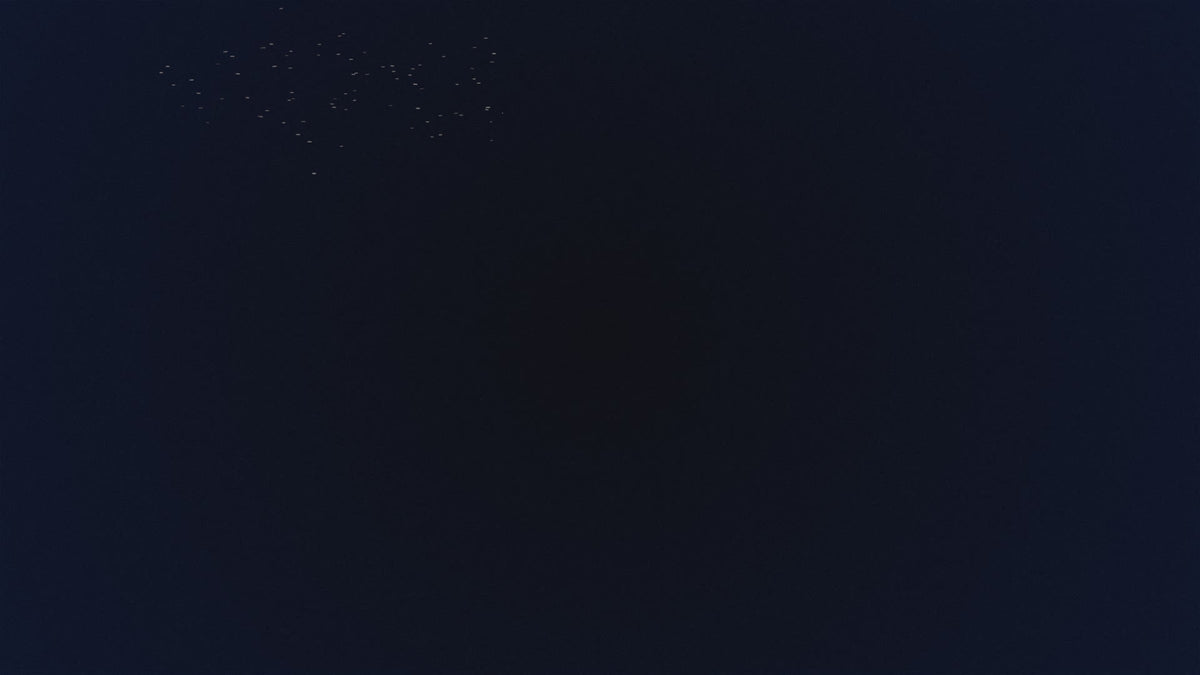 Mamba Forever – Cindy's Fireworks