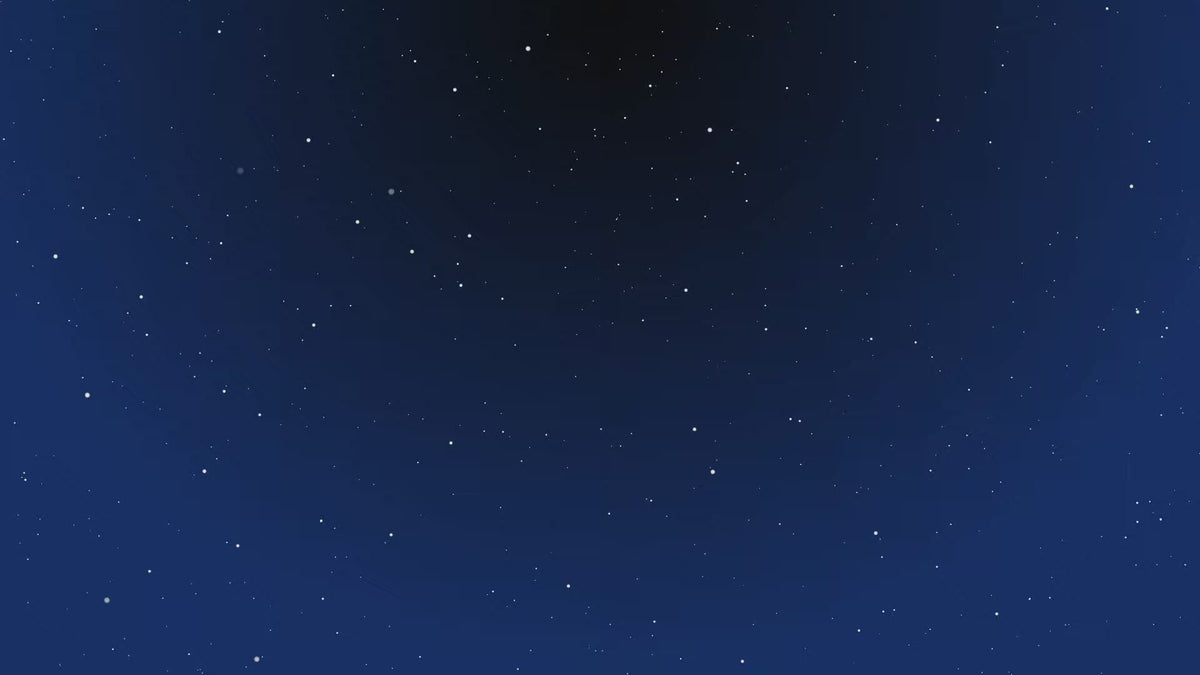 Enormous Shells-Rack – Cindy's Fireworks